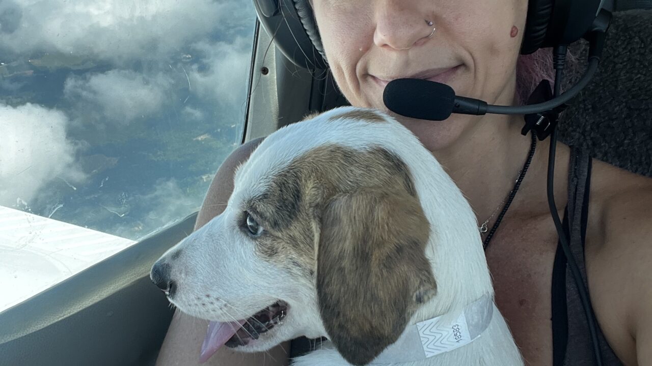 About Us - Puppy Rescue Flights